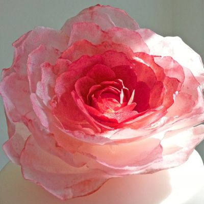 Wafer Paper – Bakers Boutique